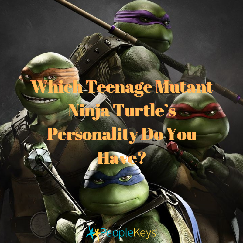What Is Your Teenage Mutant Ninja Turtle s Personality 